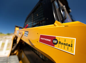 Hawthorne Cat Le Cubre Las Espaldas - Hawthorne Cat